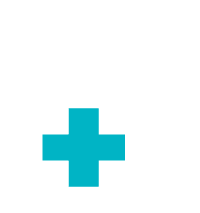 Rabbit Vaccination Guide | Animal Trust Vets