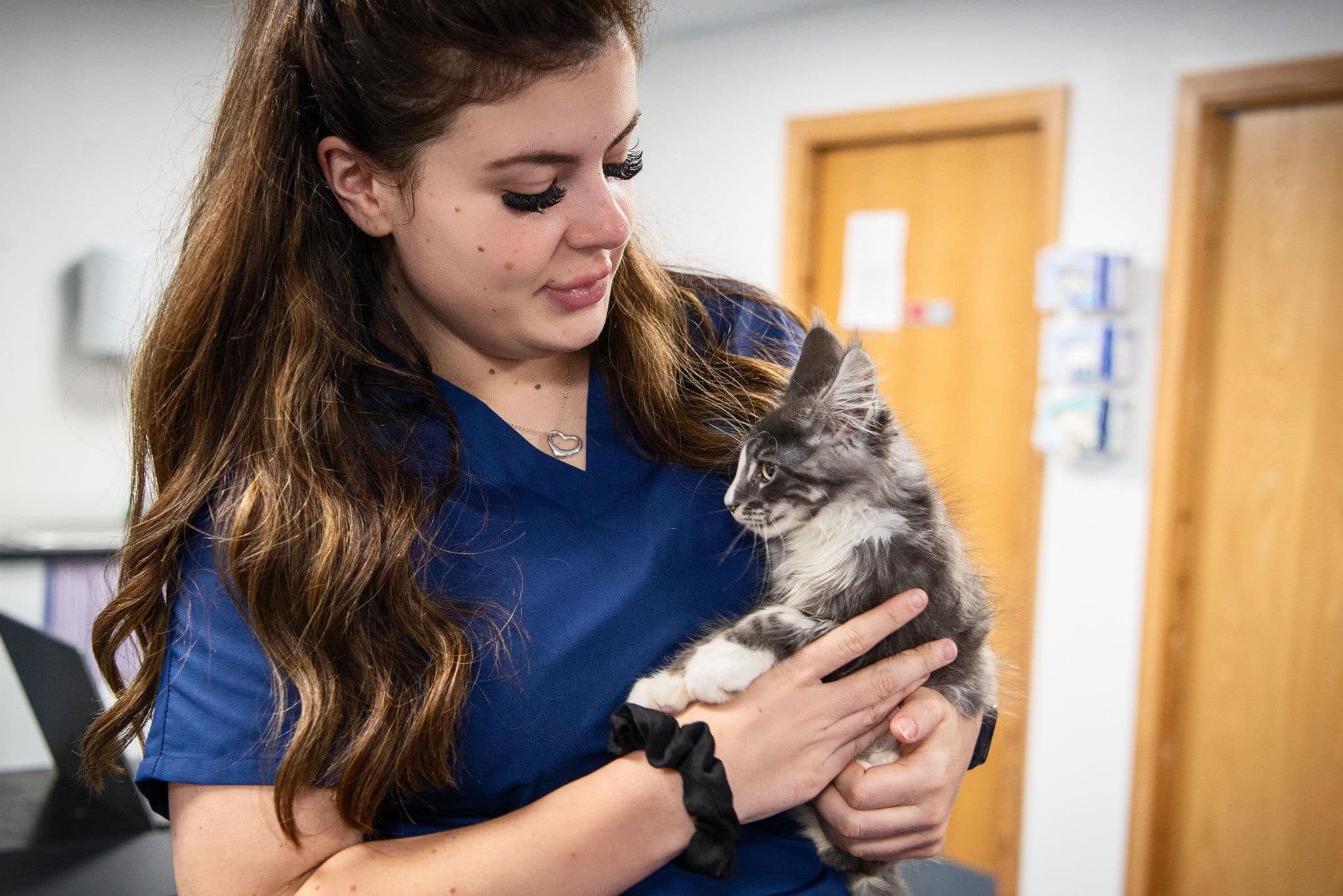 Animal Trust Vets is Coming to St Helens