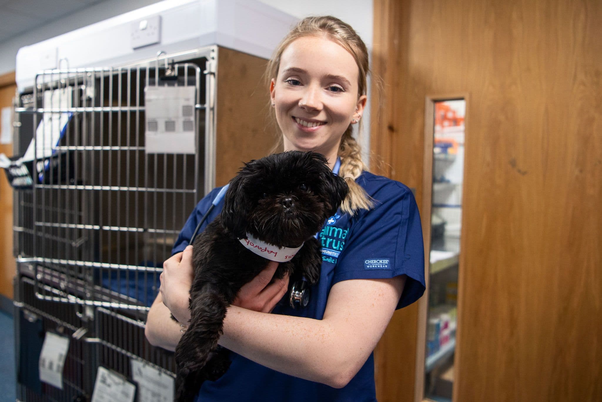 Animal Trust Vets Bolton with GP, Emergency, & Referral Care