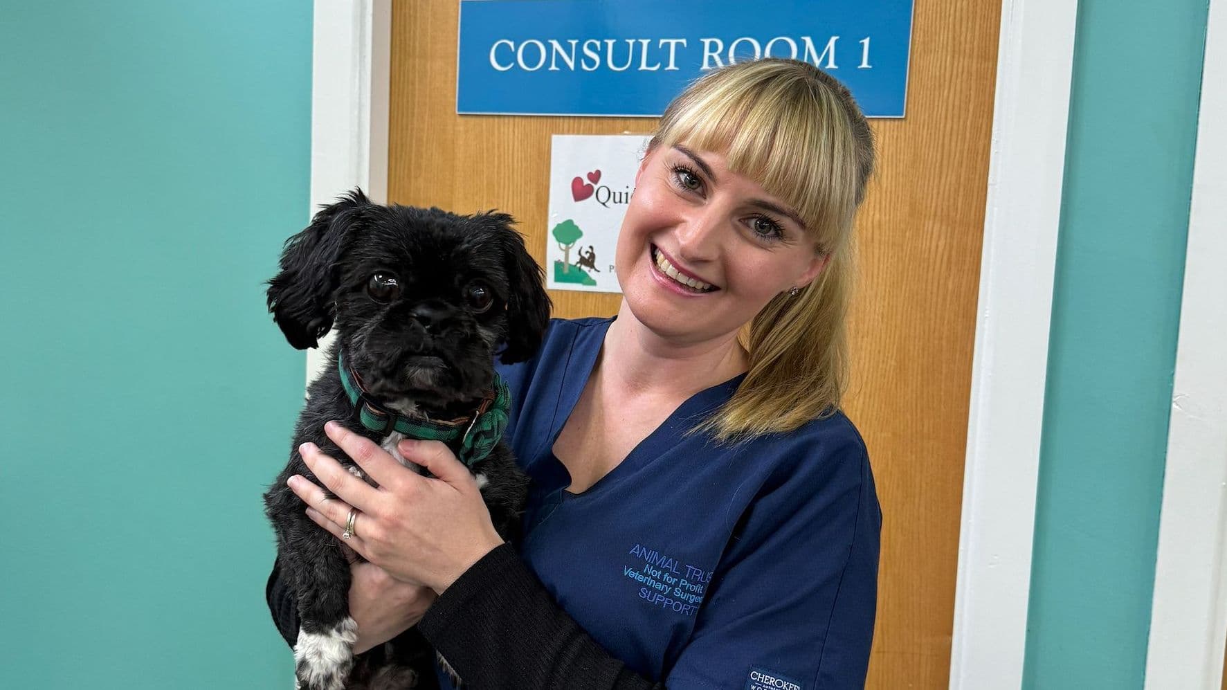 Dog Vaccination Guide | Animal Trust Vets