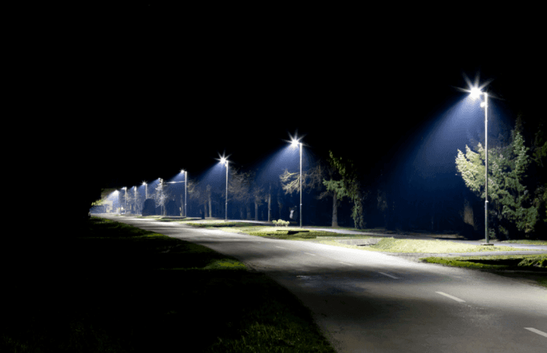 Vets In Liverpool | Animal Trust