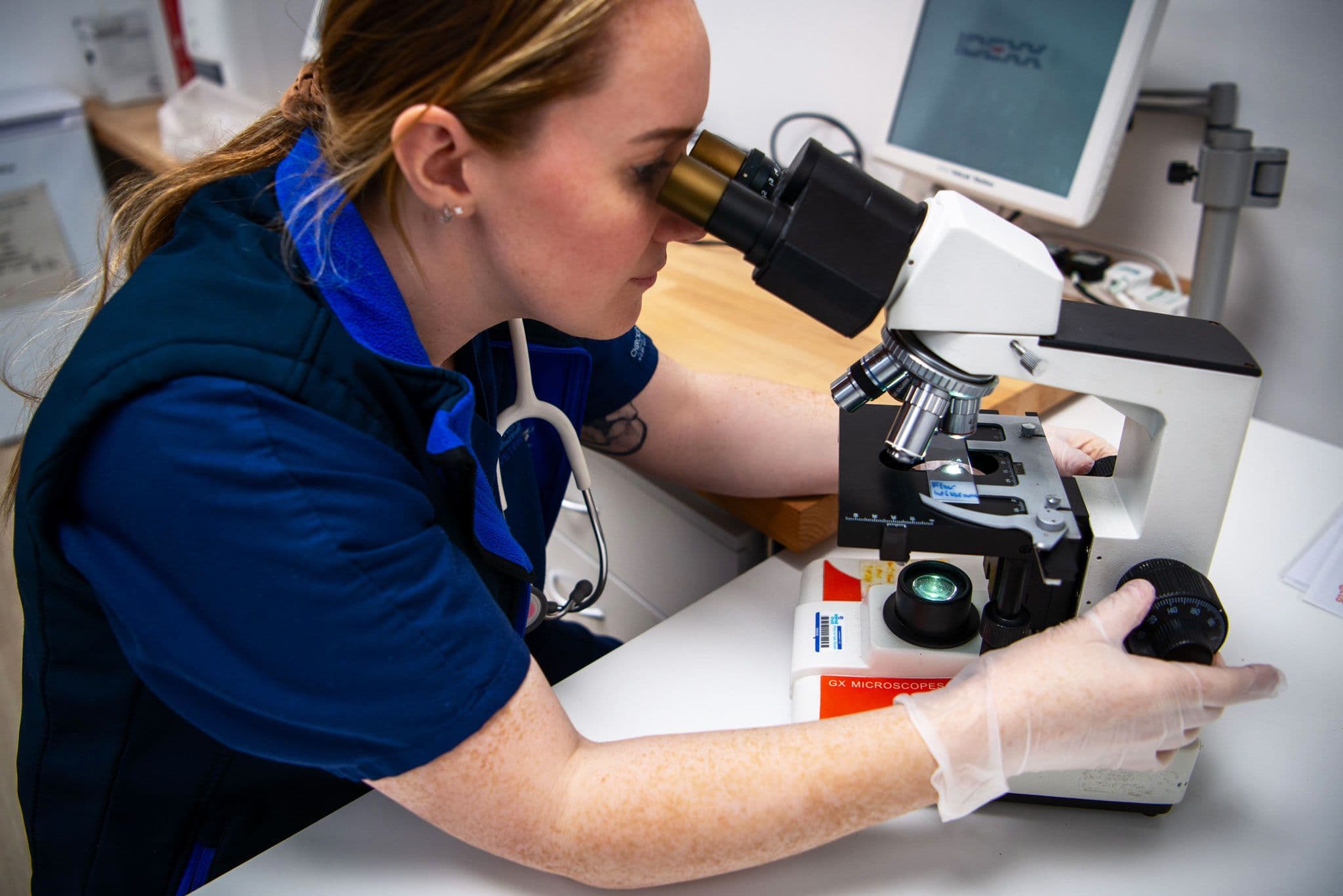 Pet Blood Tests | Animal Trust Vets