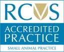 Vets In Wrexham | Animal Trust | Free Consultations